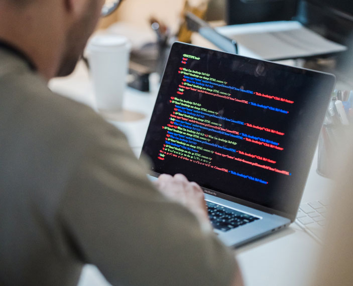 Software Development – Services by LiveCode
